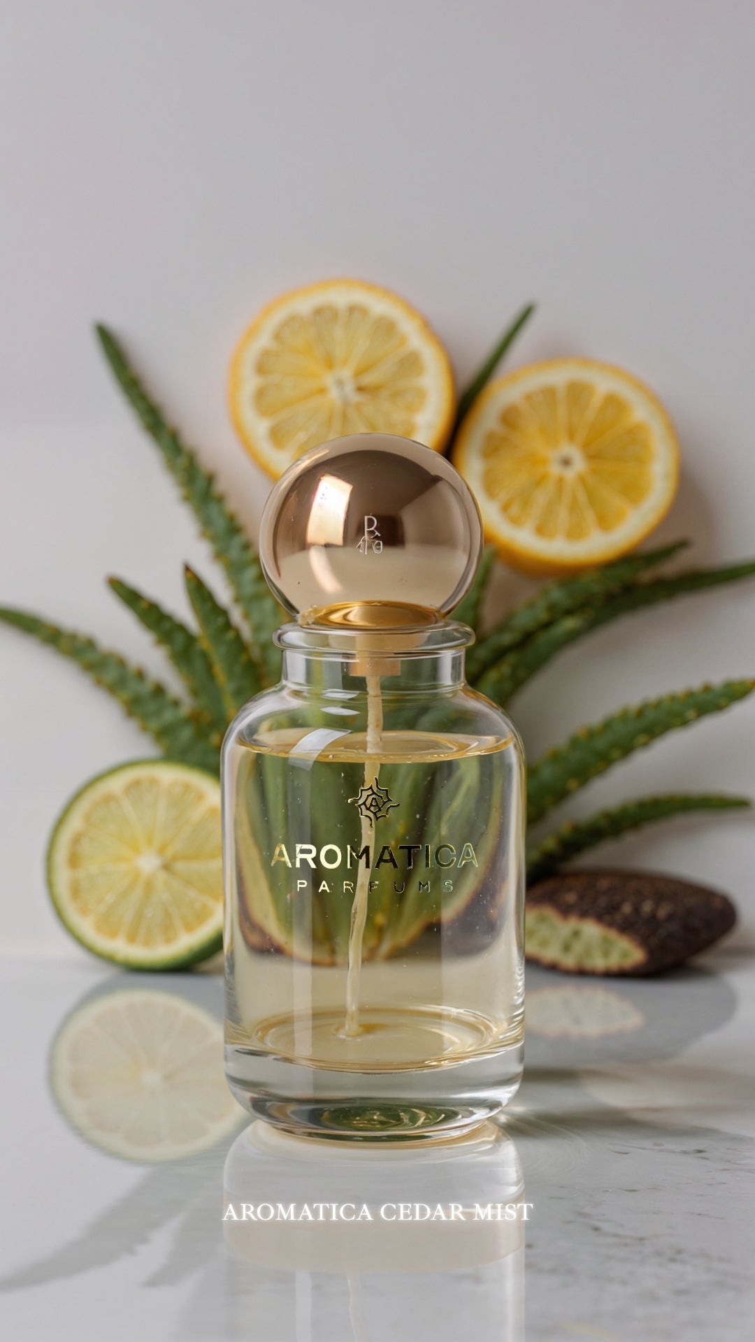 Aromatica Cedar Mist – Aromatica Parfums